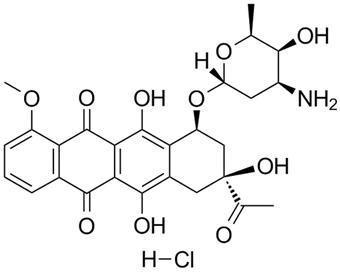 China Daunorubicin Hydrochloride CAS 23541-50-6 98% Purity DNA Synthesis Inhibitor for sale