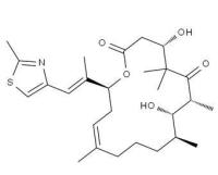 China Epothilone D CAS 189453-10-9 98% Purity Microtubule Stabilizer for Cancer Research for sale