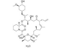 China Tacrolimus monohydrate cas 109581-93-3 for sale