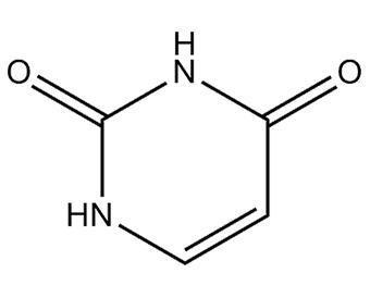 China Uracil cas 66-22-8 for sale