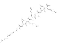 China Myristoyl Hexapeptide-16 CAS 959610-54-9 98% Purity Cosmetic Peptide for sale
