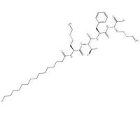 China Palmitoyl Tetrapeptide-10 for sale
