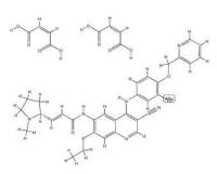 China Pyrotinib Maleate SHR 1258 Cas 1397922-61-0 Custom Synthesis 98% Purity for sale