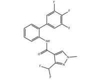 China fluxapyroxad cas 907204-31-3 for sale