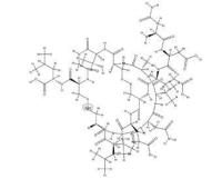 China Plecanatide cas 467426-54-6 for sale