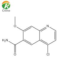 China 4-Chloro-7-Methoxyquinoline-6-Carboxamide Cas 417721-36-9 for sale