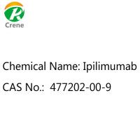 China Ipilimumab Monoclonal Antibody CAS 477202-00-9 95% Purity for Breast Cancer Research for sale