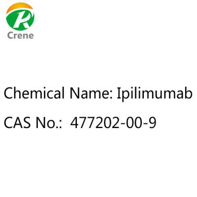 China Ipilimumab Monoclonal Antibody CAS 477202-00-9 95% Purity for Breast Cancer Research for sale