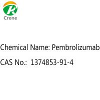 China Pembrolizumab Monoclonal Antibody for sale