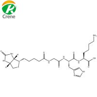 China Biotinoyl tripeptide-1 cas 299157-54-3 for sale