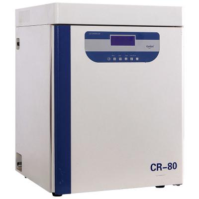 China Lab Humid CO2 Incubator SUS 304 Stainless Steel Inner Cell Incubator Co2 for sale