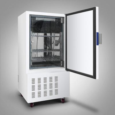 China Cooled Thermostatic Incubator Laboratory Bacteriological Incubator With Refrigerated 0-65C for sale