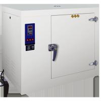 China Hot Air Circulation Clean Room Drying Oven High Temperature Electrothermal Oxidation Free Oven for sale