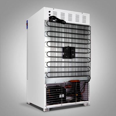 China Lab Biological Cooling Incubator 150L Microorganism Incubator Chamber for sale
