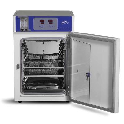 China Stainless Steel Inner Cell Culture Incubator Lab Tissue Culture Incubator 160L for sale