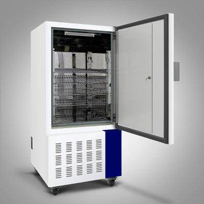 China OEM Temperature Humidity Chamber 220V Temperature Humidity Test Chamber for sale