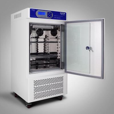 China SUS304 CO2 Shaking Incubator Microorganism Scientific Incubators 110V 220V for sale