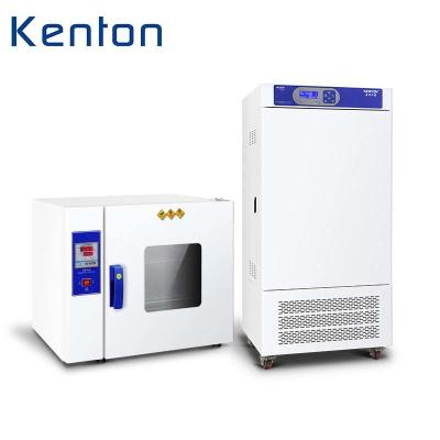 China Customized High Temperature Curing Oven Hot Air Circulating Laboratory Industrial Electric Drying Oven for sale