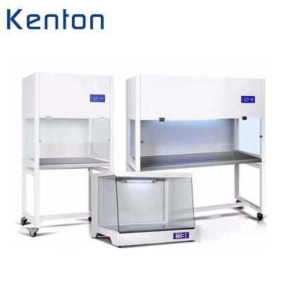 China SS304 Laminar Air Flow Cabinet Horizontal Desk Top Air Clean Bench For Laboratory for sale