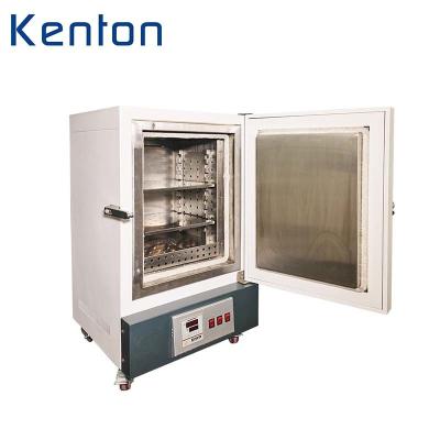 China Hot Air Circulation Clean Room Drying Oven High Temperature Electrothermal Oxidation Free Oven for sale