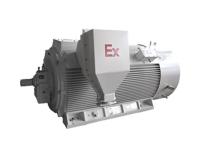 China Y2W Series Non Spark 3 Phase Induction Motor 185 - 1800Kw Power Range for sale