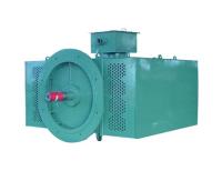China Vertical Three Phase Asynchronous Motor High Efficiency For Power Station for sale
