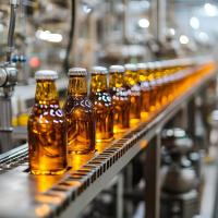 China Automatic 3-in-1 Rinsing Filling Capping Glass Bottle Beer Bottling Machine for sale