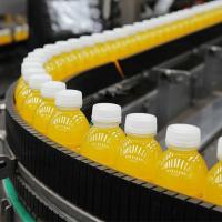 China Orange Juice Processing Machinery Small Juice Production Line for sale