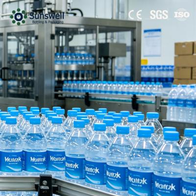 China Full Automatic 24000 BPH 500ml PET Bottle Mineral Water Production Line for sale