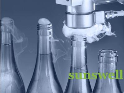 China Electric Liquid Nitrogen Dosing Machine NJ600 for Beverage Packaging - 0-450 CPM Capacity, 3kW Power for sale