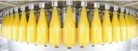 China PET Bottle Hot Filling Machine 500ml Beverage Juice Filler CE Certified 12-12-5 Heads for sale