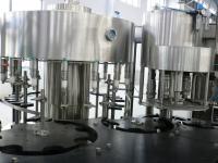 China 5.5kw 8L 10L Automatic Bottle Filling Machine for Mineral Water Sparkling Water for sale