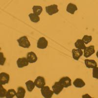 China Resin Bond Micron Diamond Powder Grade BRM For Grinding Wheel for sale