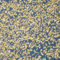 China Highest Toughness Monocrystalline Blocky Micron Diamond Powder for sale