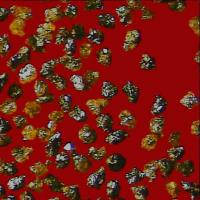China Industrial Synthetic Resin Bond Mesh Diamond Powder Grade BRD10 for sale