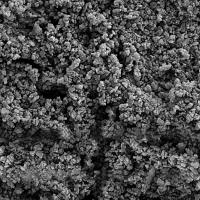 China High Strength And Toughness Nano Diamond Powder For Polishing for sale
