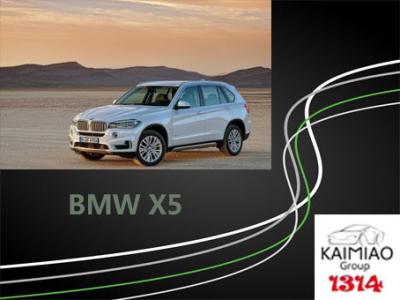 China BMW X5 Electric Running Boards - 250KG Capacity Intelligent Extending Side Steps for SUV Access for sale