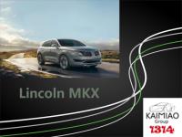 China Lincoln MKX Electric Side Steps - Automatic Vehicle Steps with OEM Fit for SUV Accessibility for sale