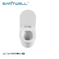 China Hot Selling SWA625 Luxury Sanitary Ware Product Washdown Rimless Flushing Wall Hung Toilets WC for sale