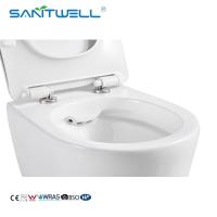 China Hot Selling SWA625 Luxury Sanitary Ware Product Washdown Rimless Flushing Wall Hung Toilets WC for sale