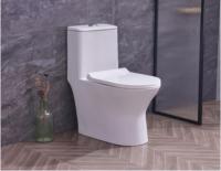 China Popular Economic Toilets SWS9218 Siphonic One piece Toilets S trap with PP Soft Closed Seat Cover for sale