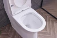 China Popular Economic Toilets SWS9218 Siphonic One piece Toilets S trap with PP Soft Closed Seat Cover for sale
