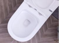 China Economic Toilets SWS9286 Cheap Price Siphonic One piece Toilets S trap with PP Soft Closed Seat Cover for sale
