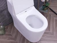 China Economic Toilets SWS9286 Cheap Price Siphonic One piece Toilets S trap with PP Soft Closed Seat Cover for sale