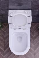 China Economic Toilets SWS9286 Cheap Price Siphonic One piece Toilets S trap with PP Soft Closed Seat Cover for sale