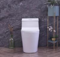 China Economic Toilets SWS9286 Cheap Price Siphonic One piece Toilets S trap with PP Soft Closed Seat Cover for sale