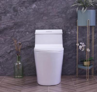 China Economic Toilets SWS9286 Cheap Price Siphonic One piece Toilets S trap with PP Soft Closed Seat Cover for sale