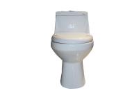 China Economic Cheap Siphonic One Piece Toilet Popular Models for sale