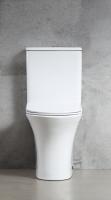 China Chaozhou Popular Ceramic Two PIece Toilets Rimless Flushing White Color WC for sale