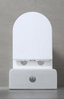 China Chaozhou Popular Ceramic Two PIece Toilets Rimless Flushing White Color WC for sale
